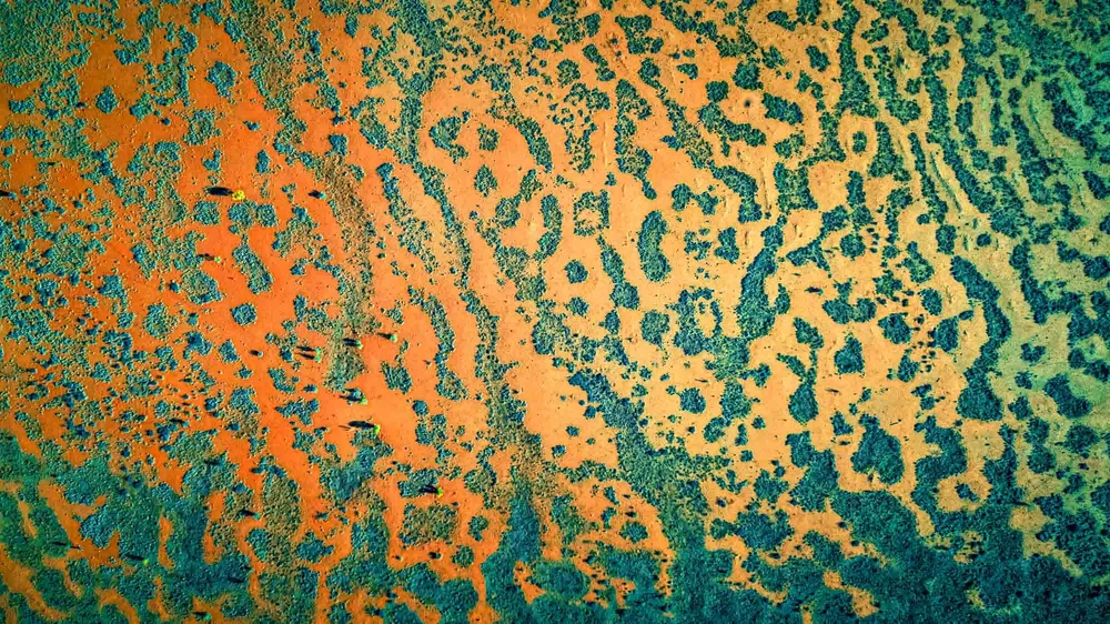 Rachel Suzanne Tien Wood