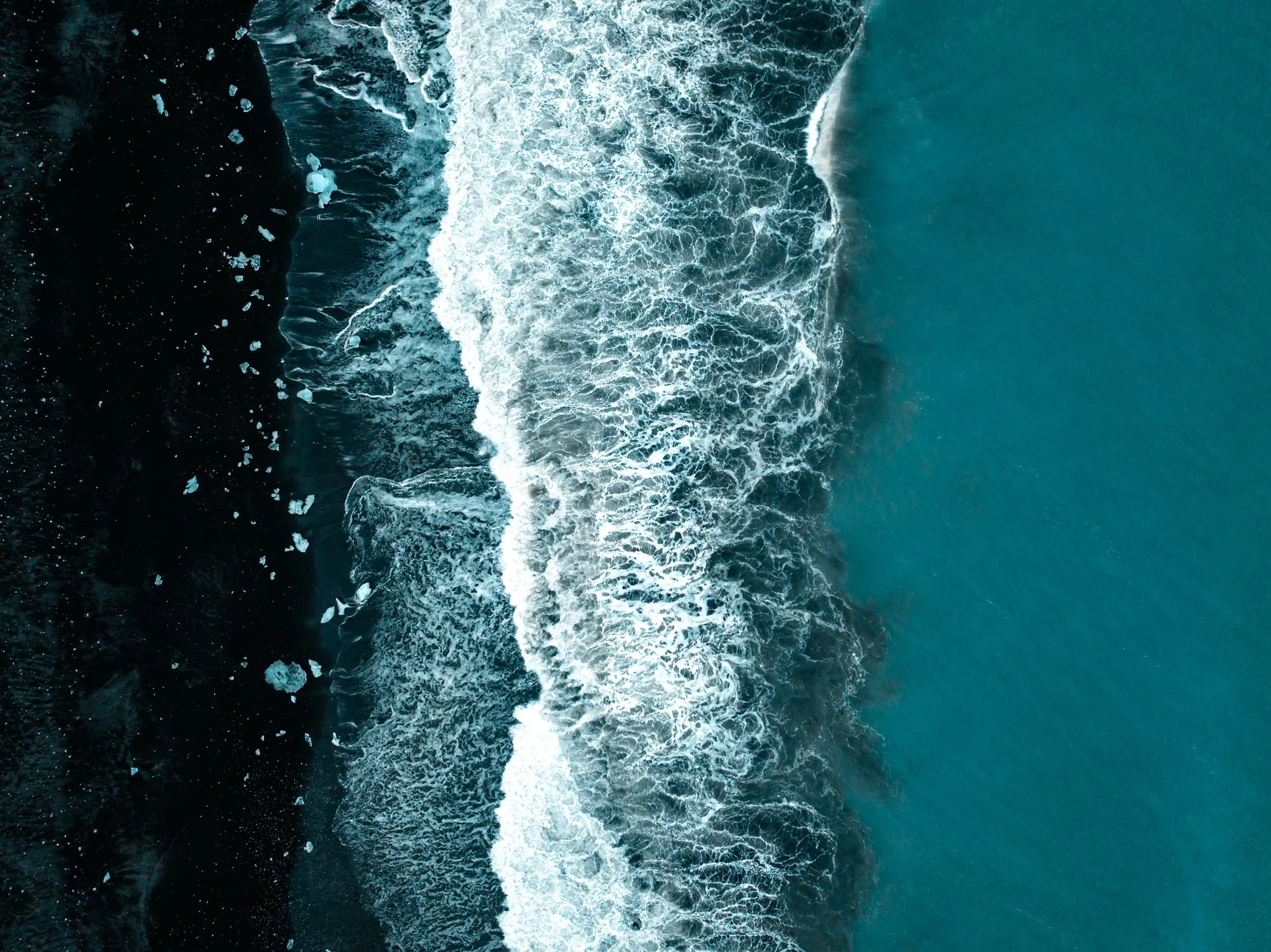 Rachel Suzanne Tien Wood