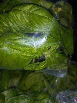 Store 2 — Sejah Farm VI