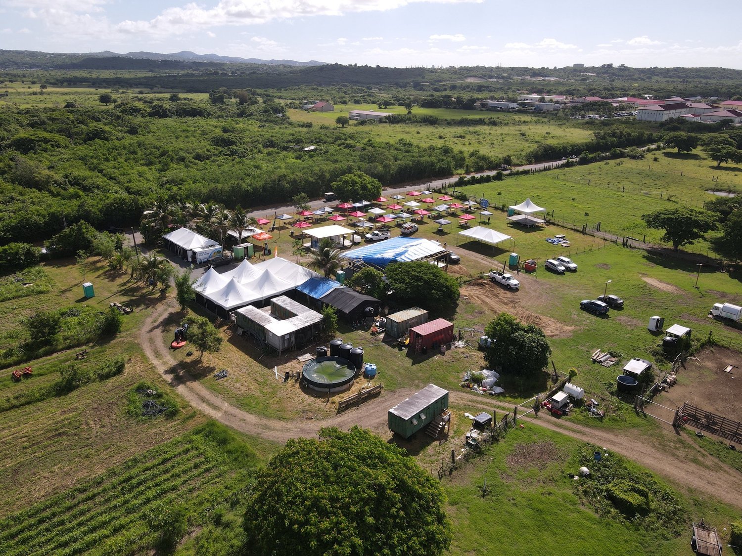 Bush Cook St Croix — Sejah Farm VI