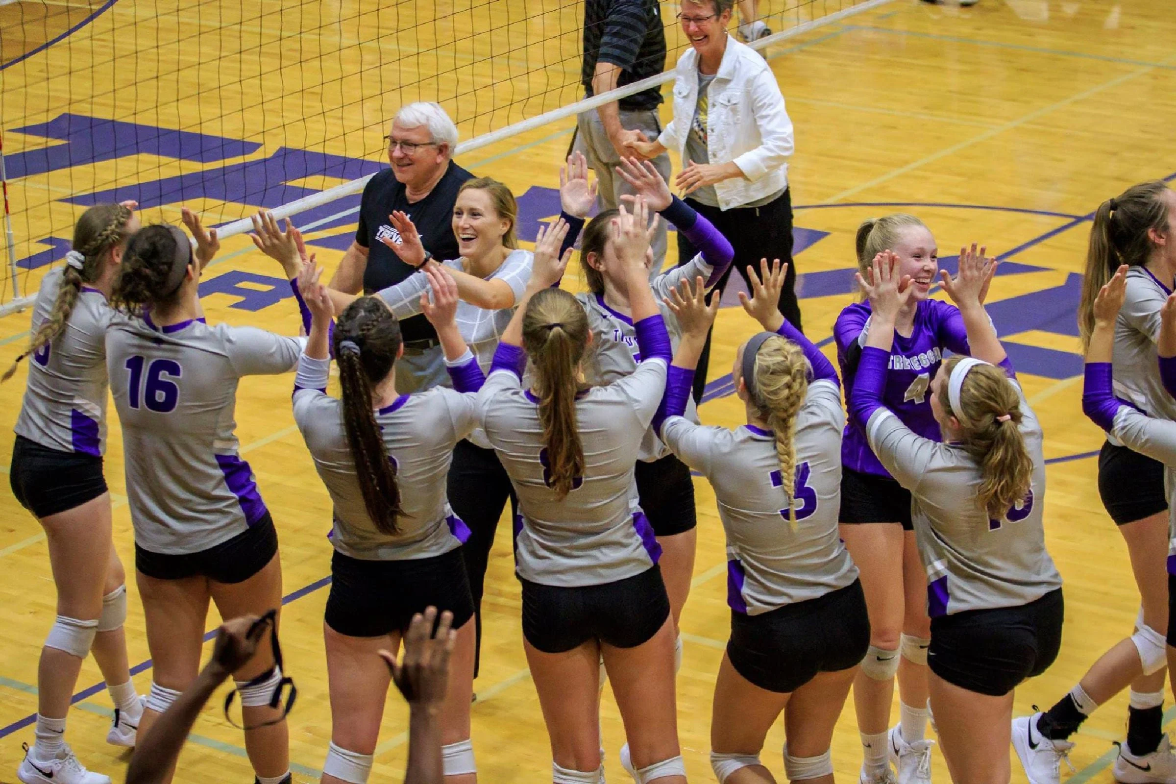 Experience — Emily Moore