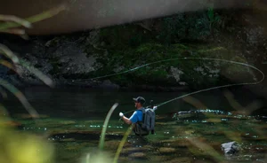 Wellington Guided Trout Fishing-Home - Go Fish Kiwi Guided Trout ...