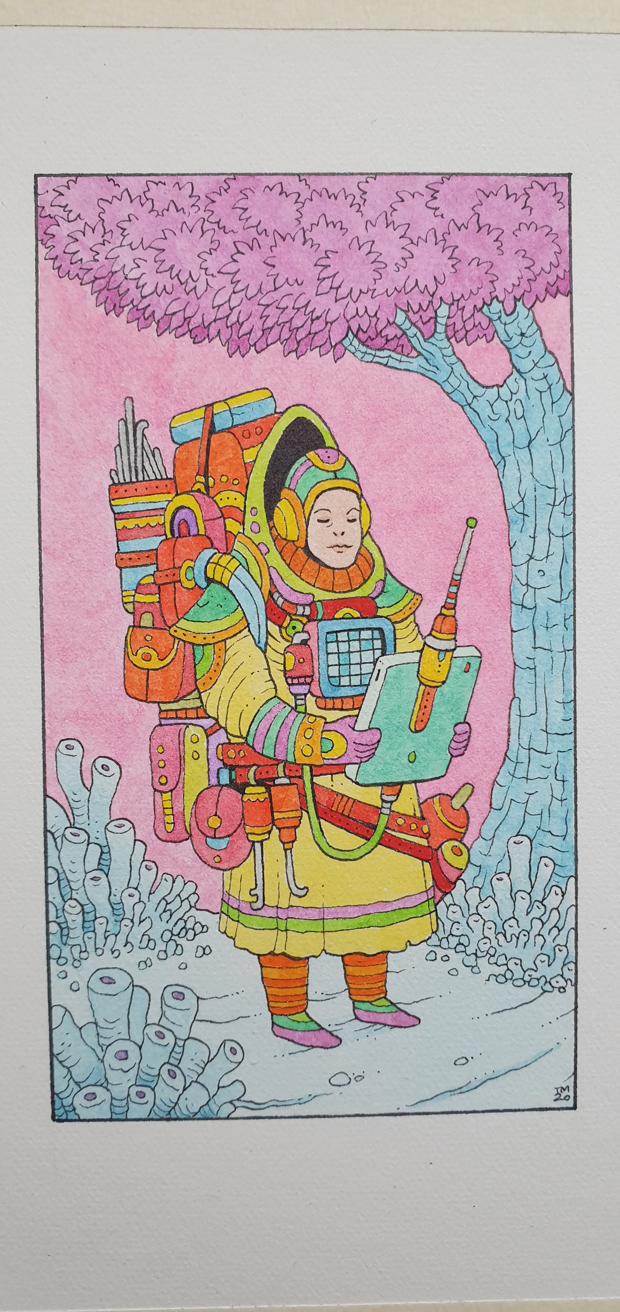 Traditional Art — TIM MOLLOY ART