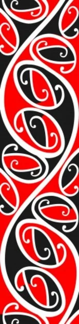 Maori Kainga — Te Matauranga School