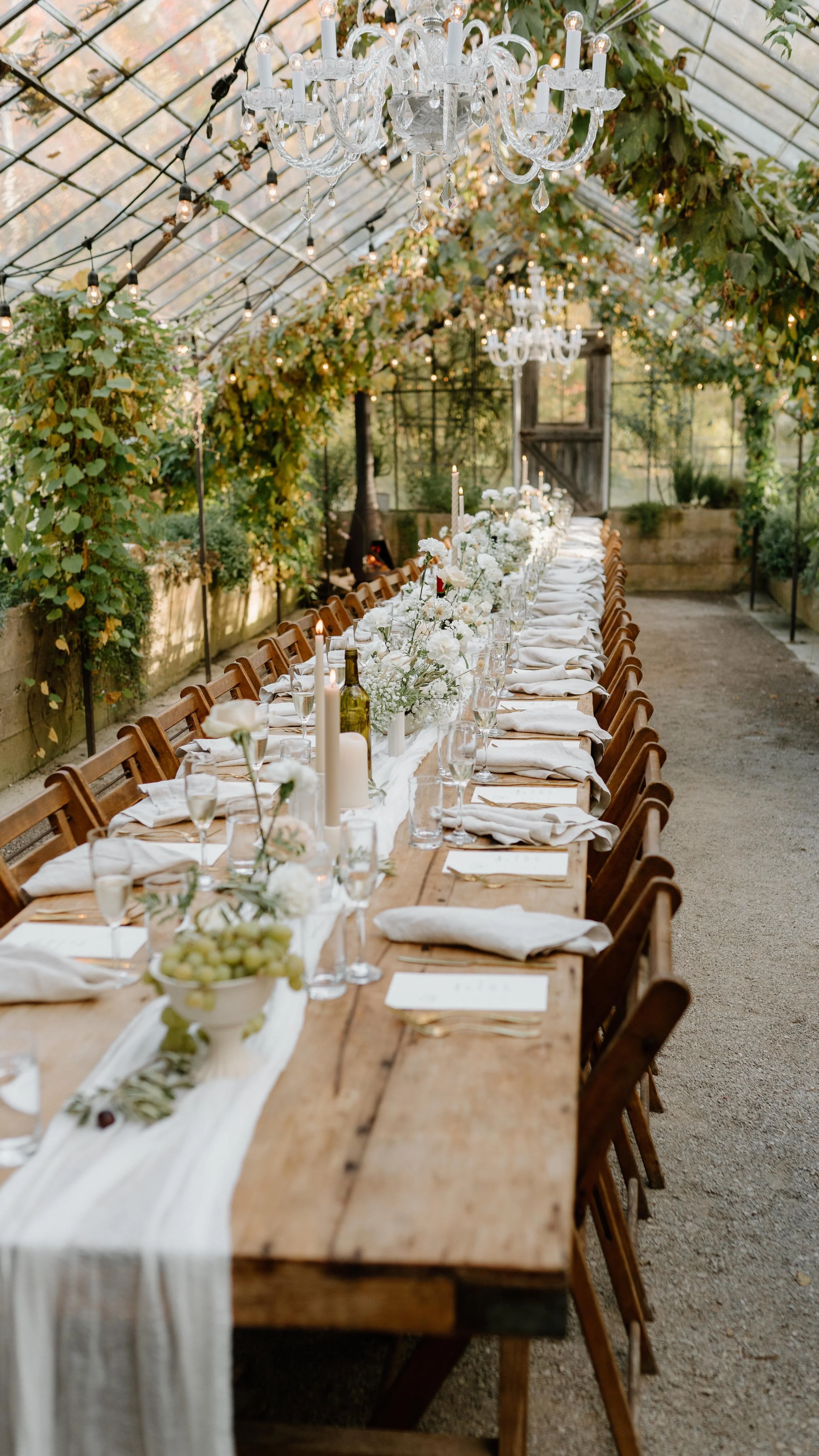 Alyssa Grace Photography