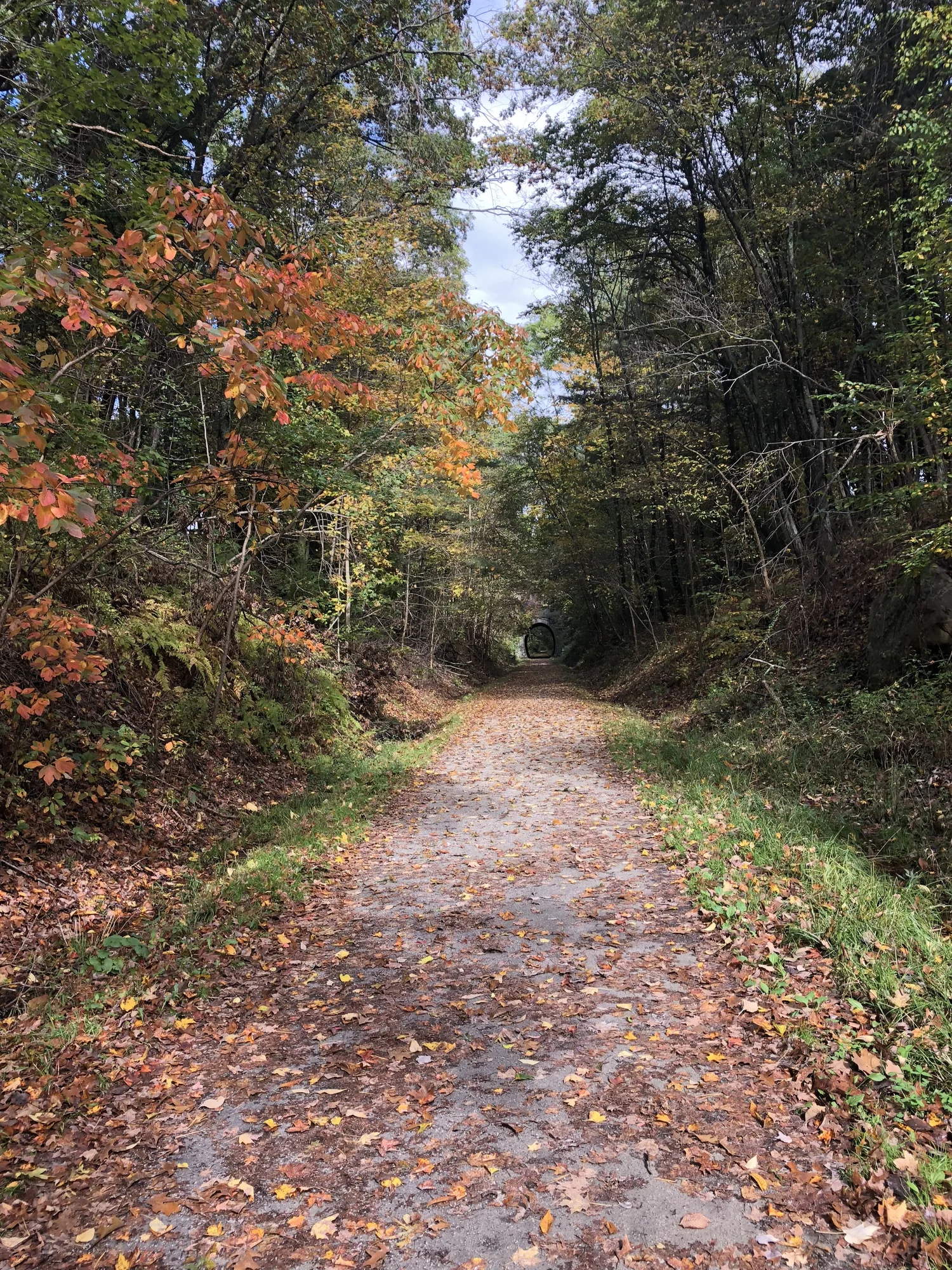 Timeline — Holliston Trails
