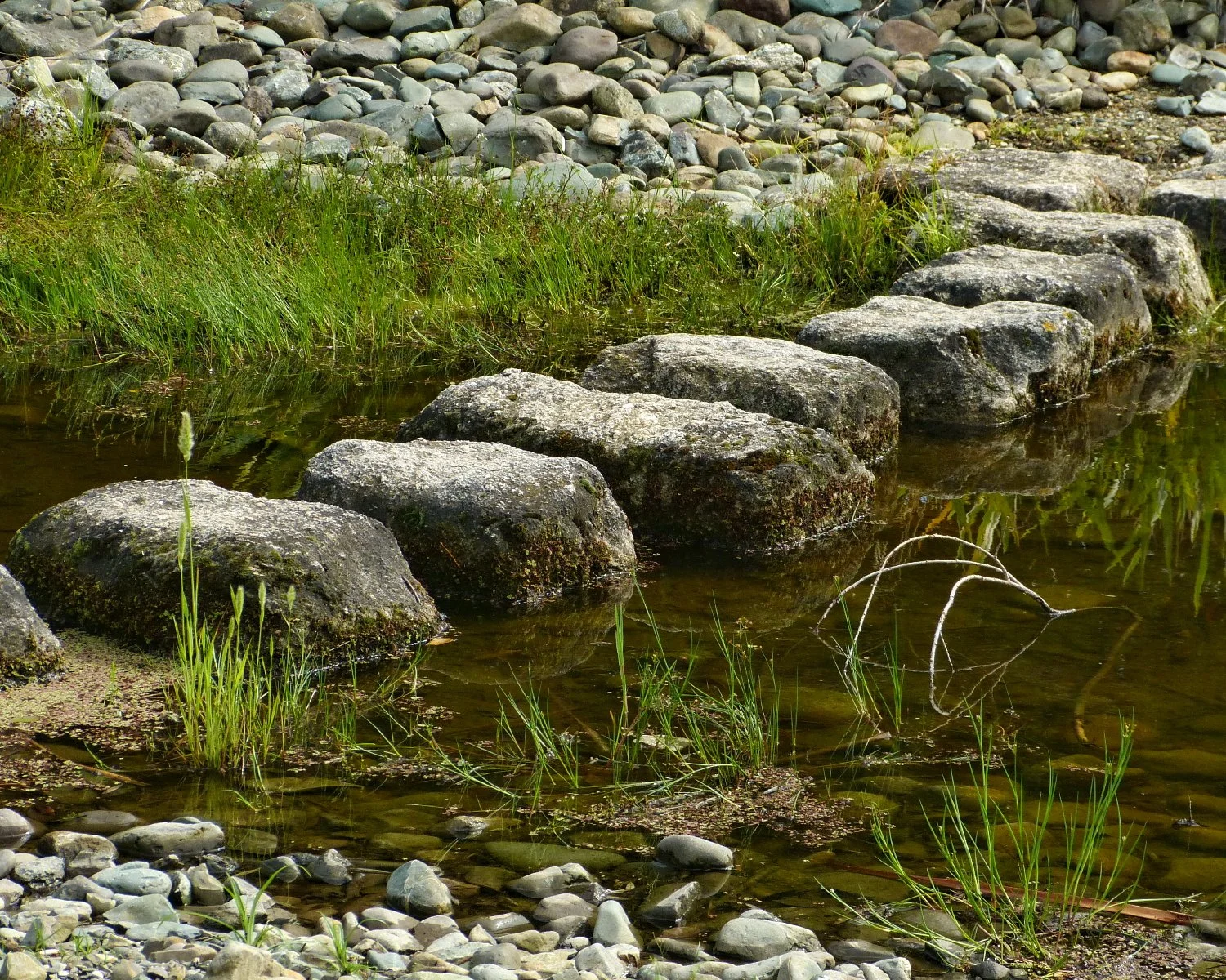 MDCC Development Foundation