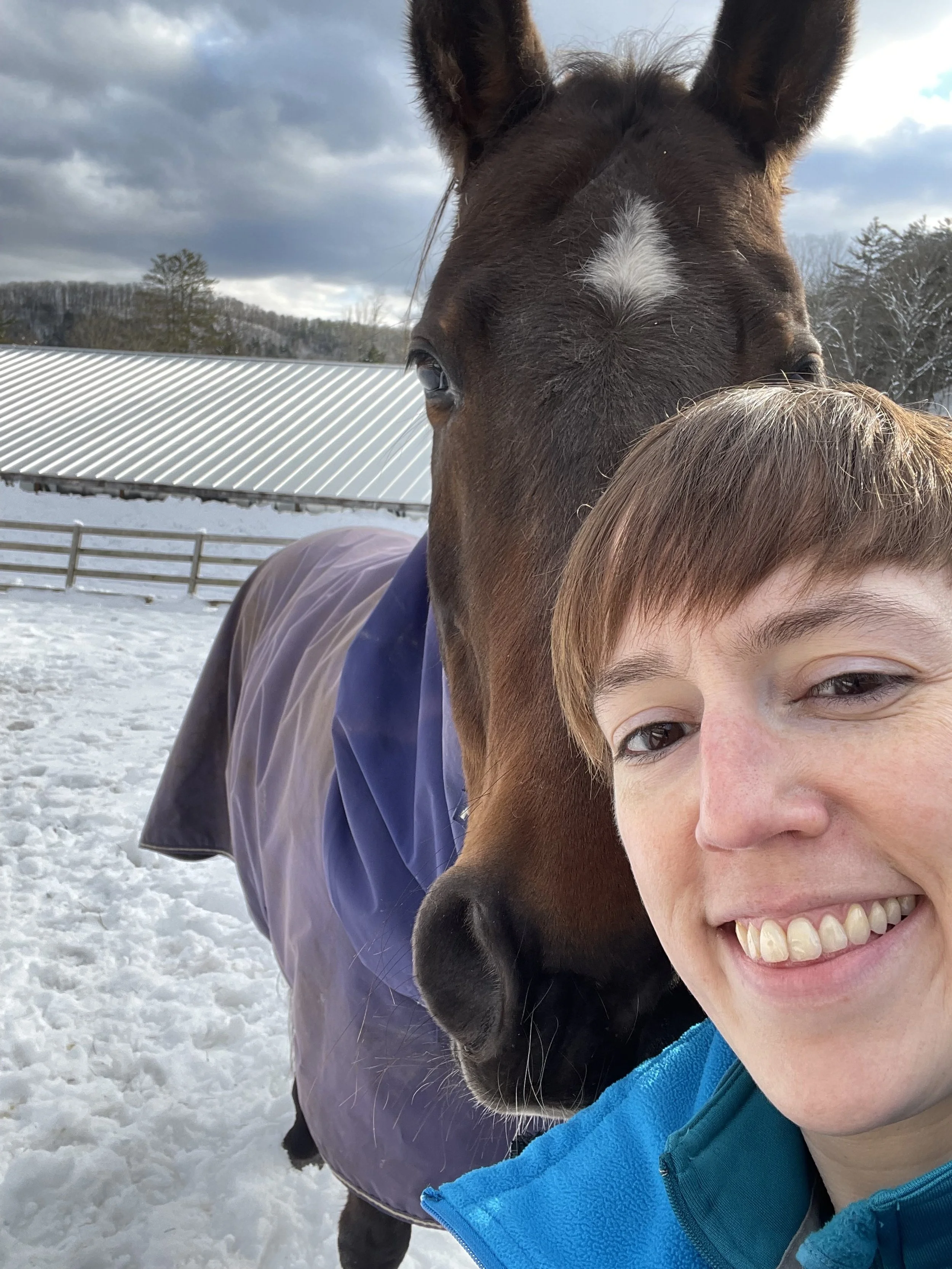 Our Team — High Horses