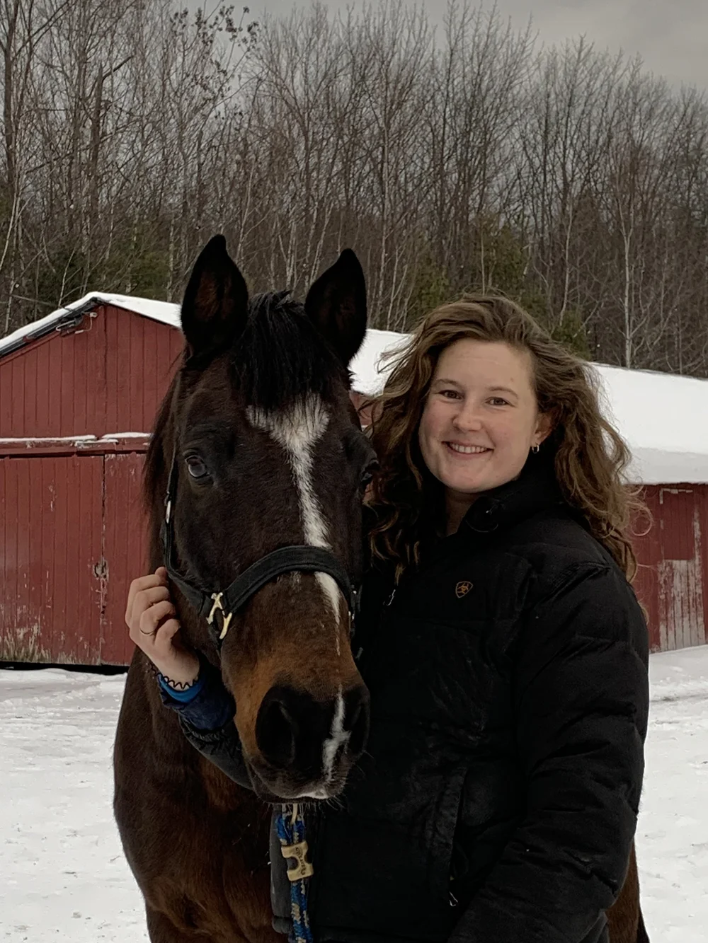 Our Team — High Horses