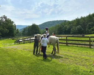 High Horses Center for Equine-Assisted Services
