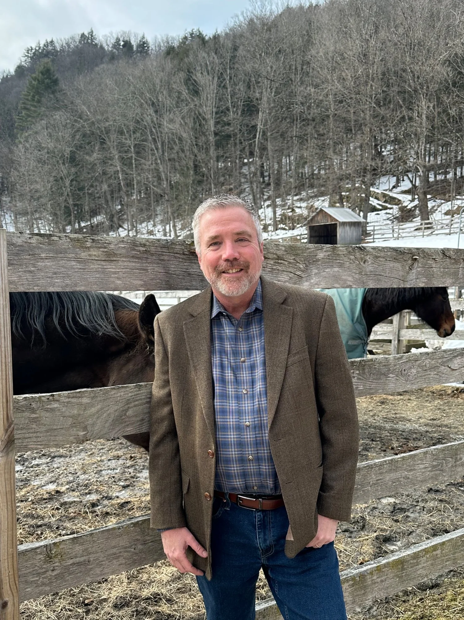 Our Team — High Horses