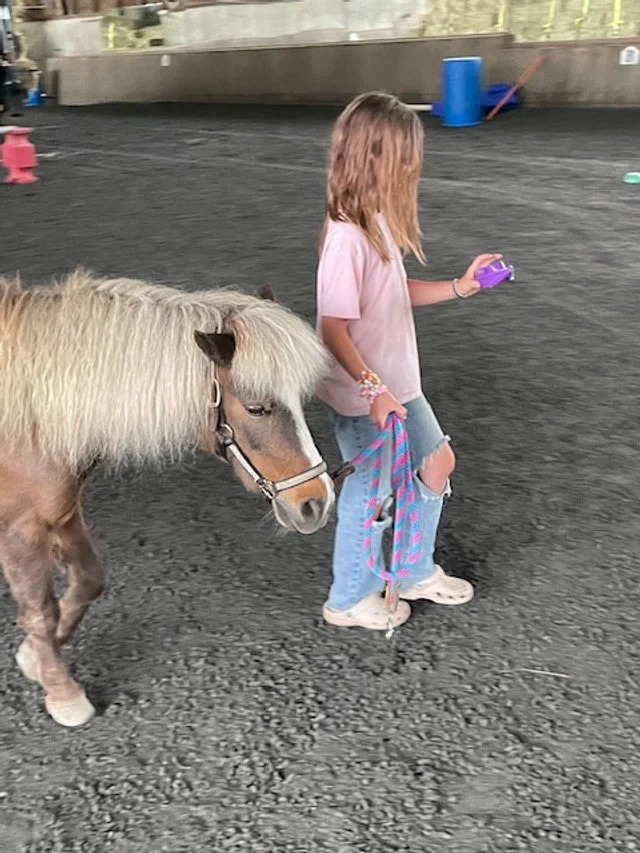 Horse Powered Reading — High Horses
