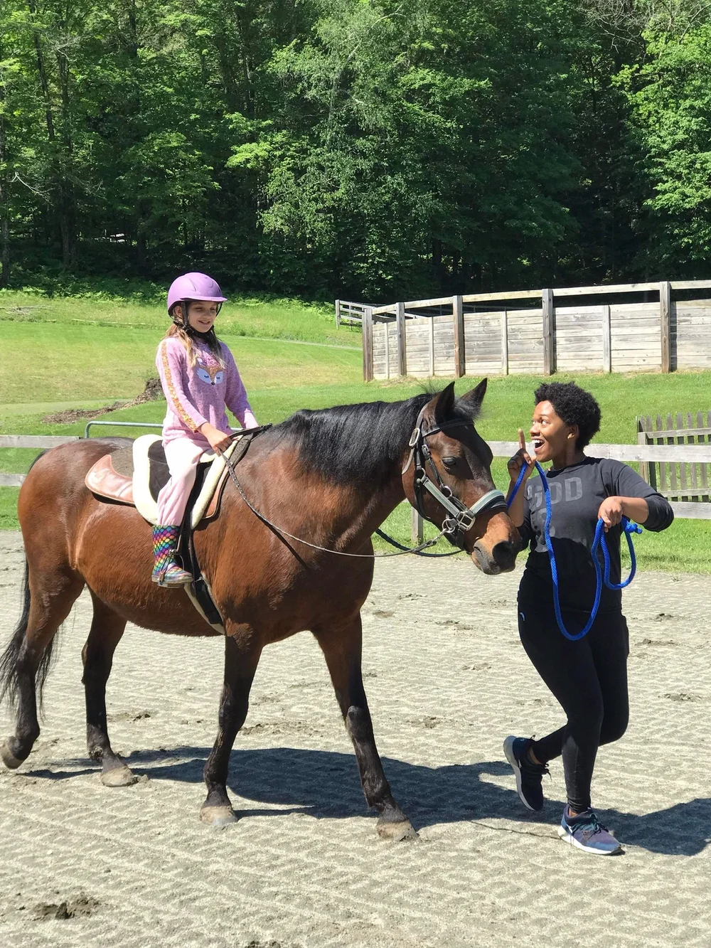 About Us — High Horses