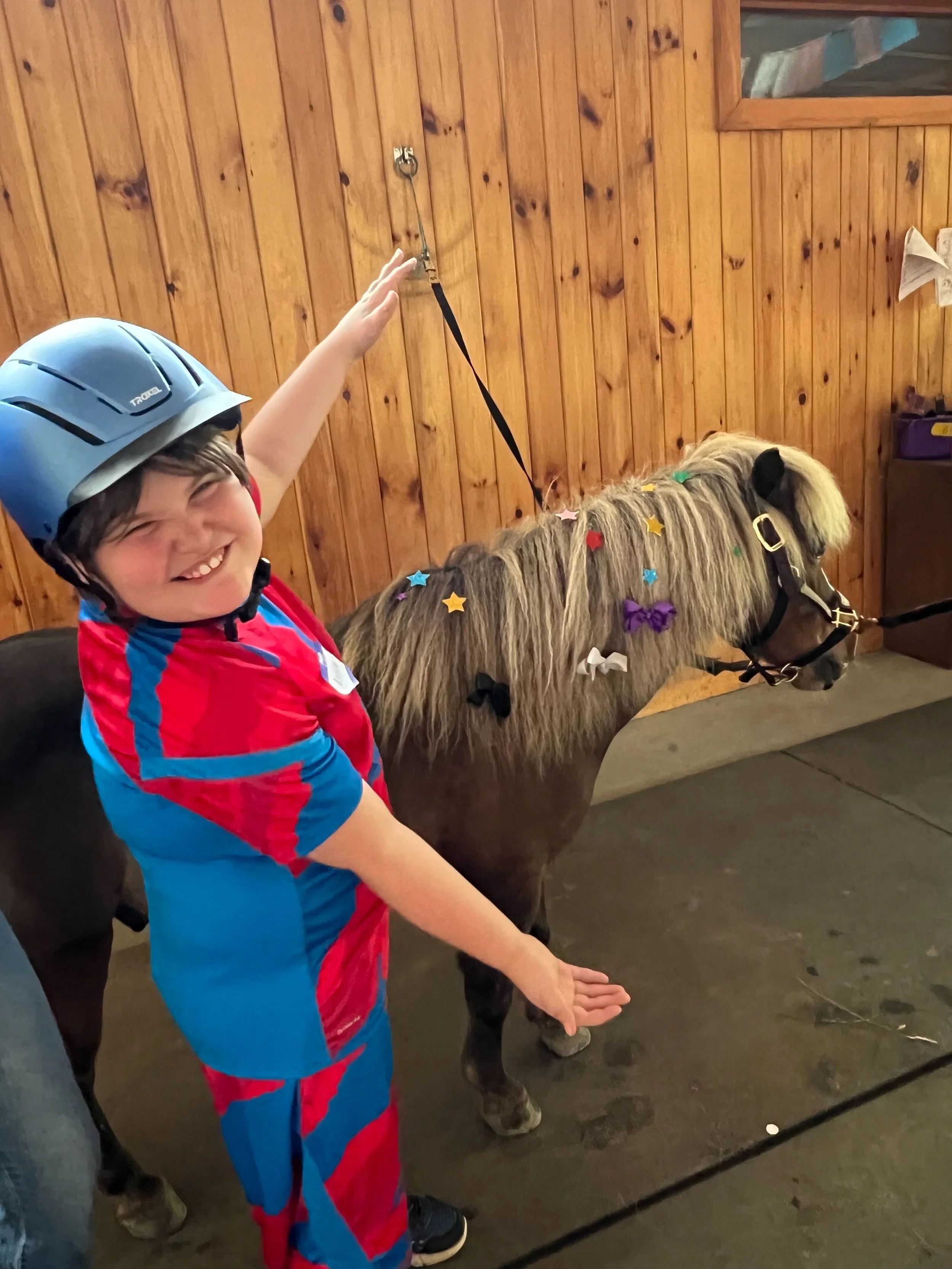 Equine-Assisted Learning — High Horses