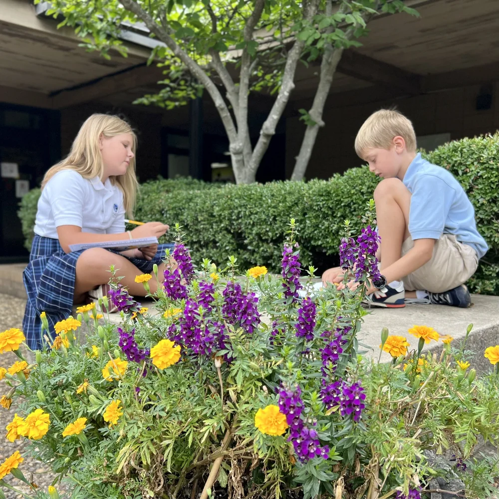 About Us — Christ Little Rock School