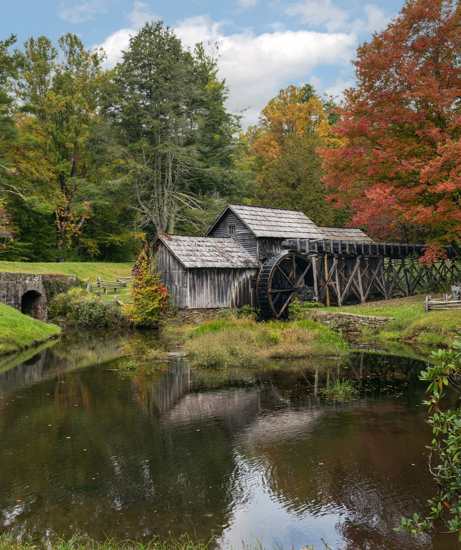 Corinne Tousey Photography