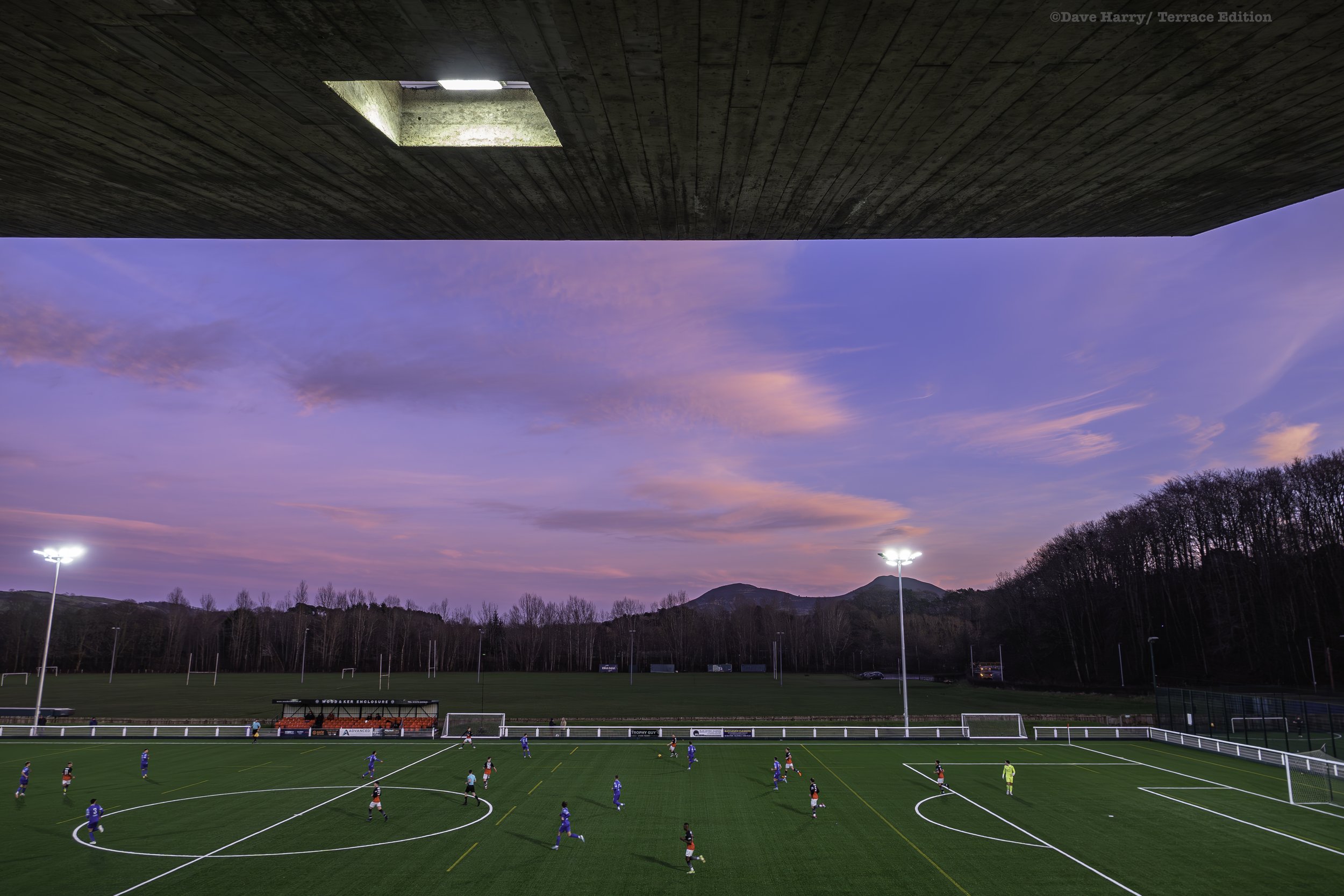 A Gala Affair: Elegant light at Netherdale — Terrace Edition