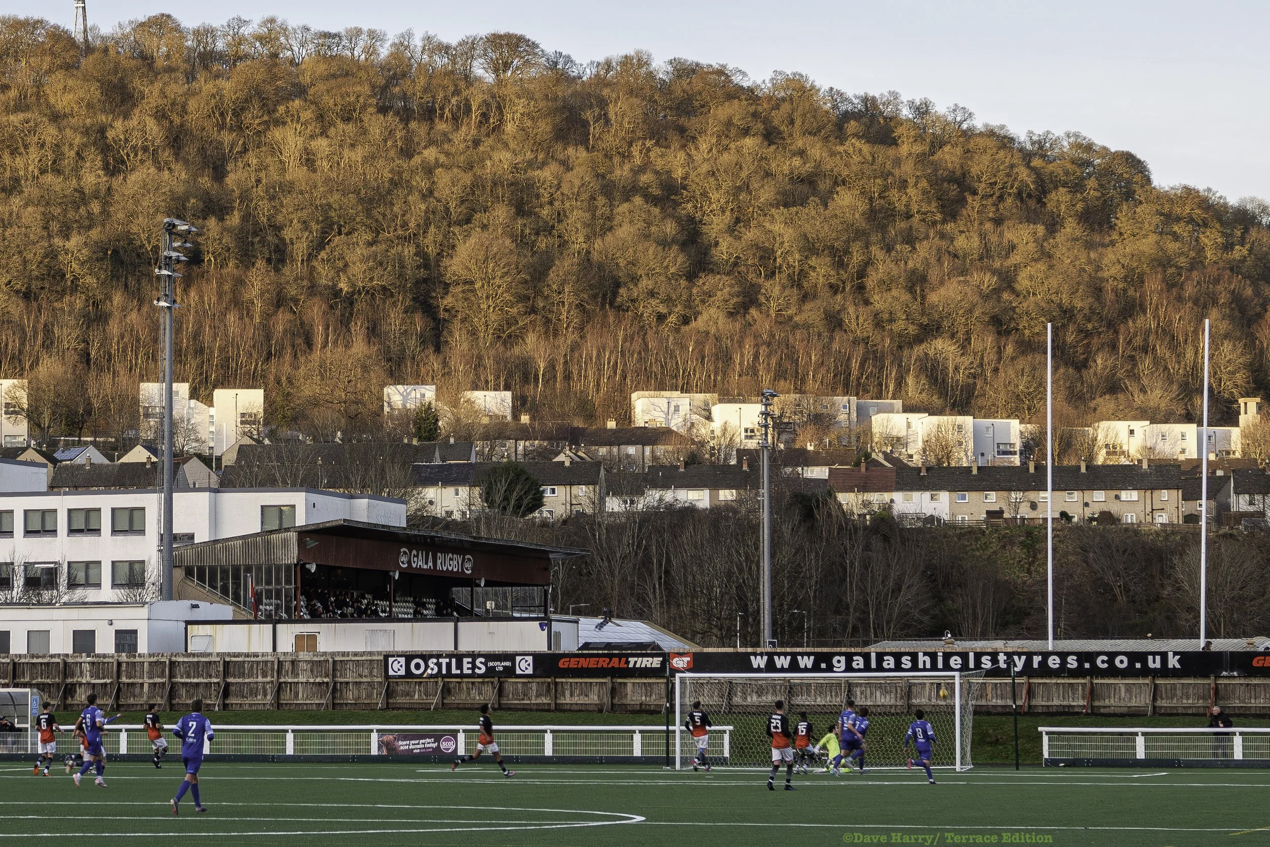 A Gala Affair: Elegant light at Netherdale — Terrace Edition