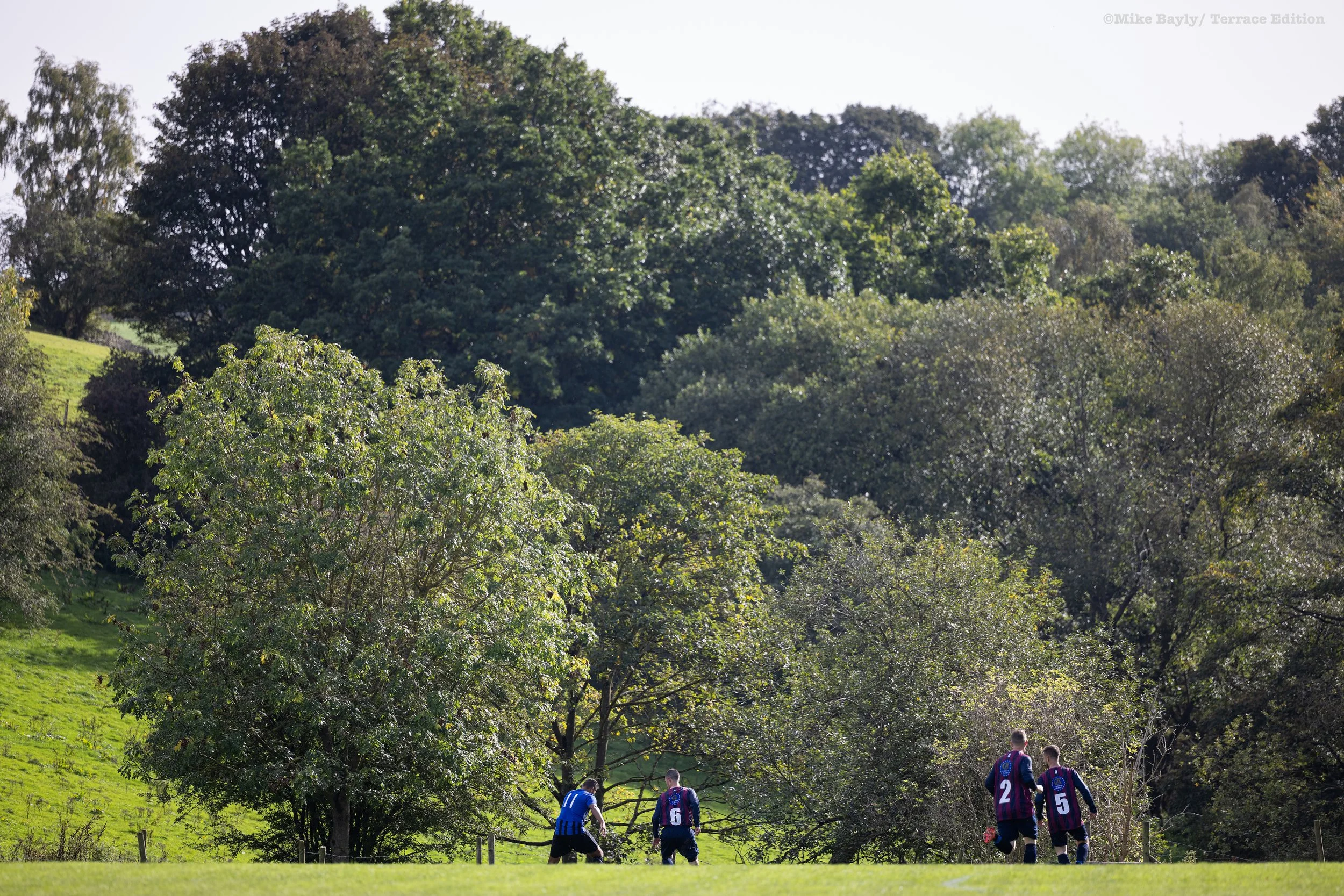 Over the brow: The community game at Berry Brow — Terrace Edition