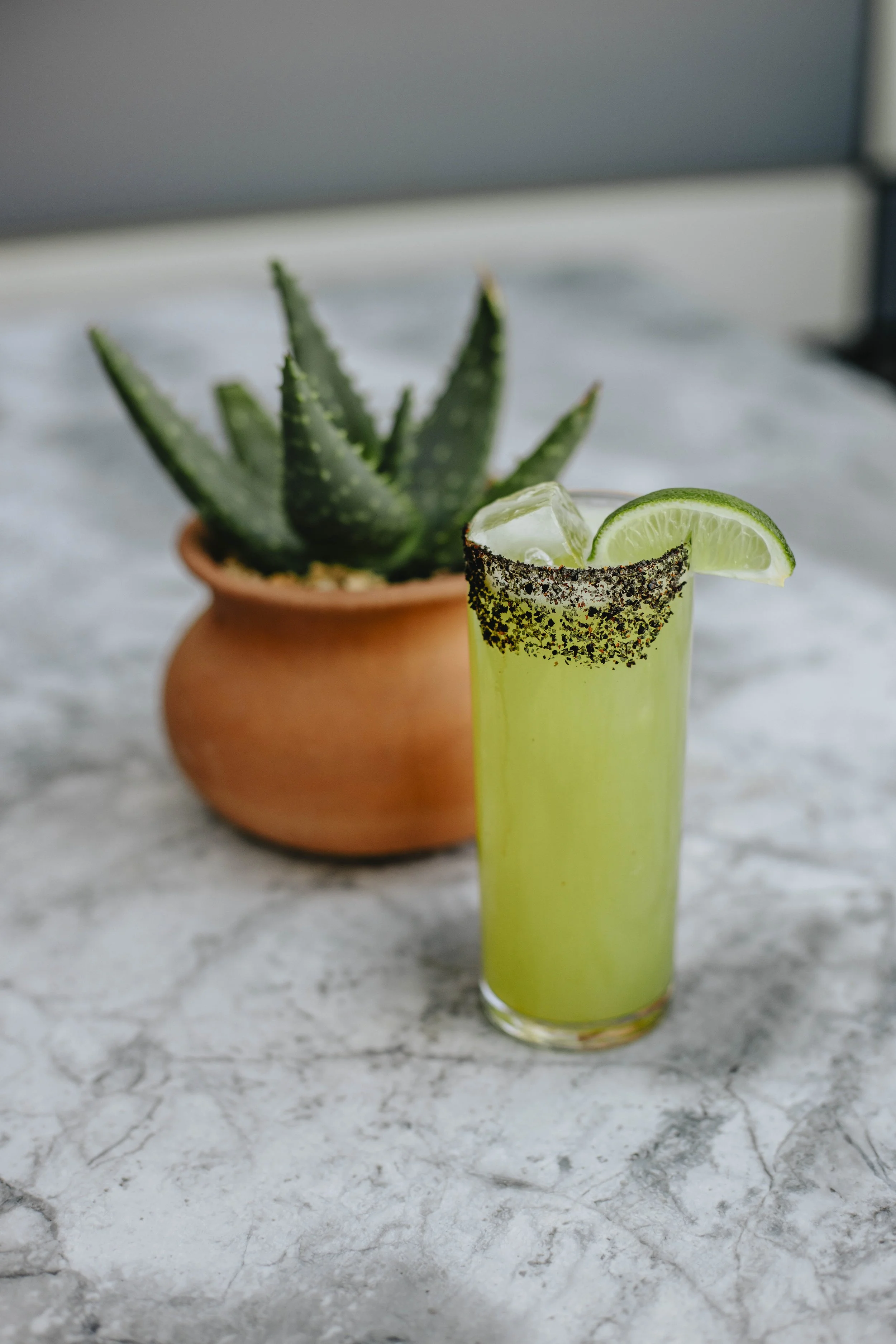 Reviews 1 — Cavaña SF