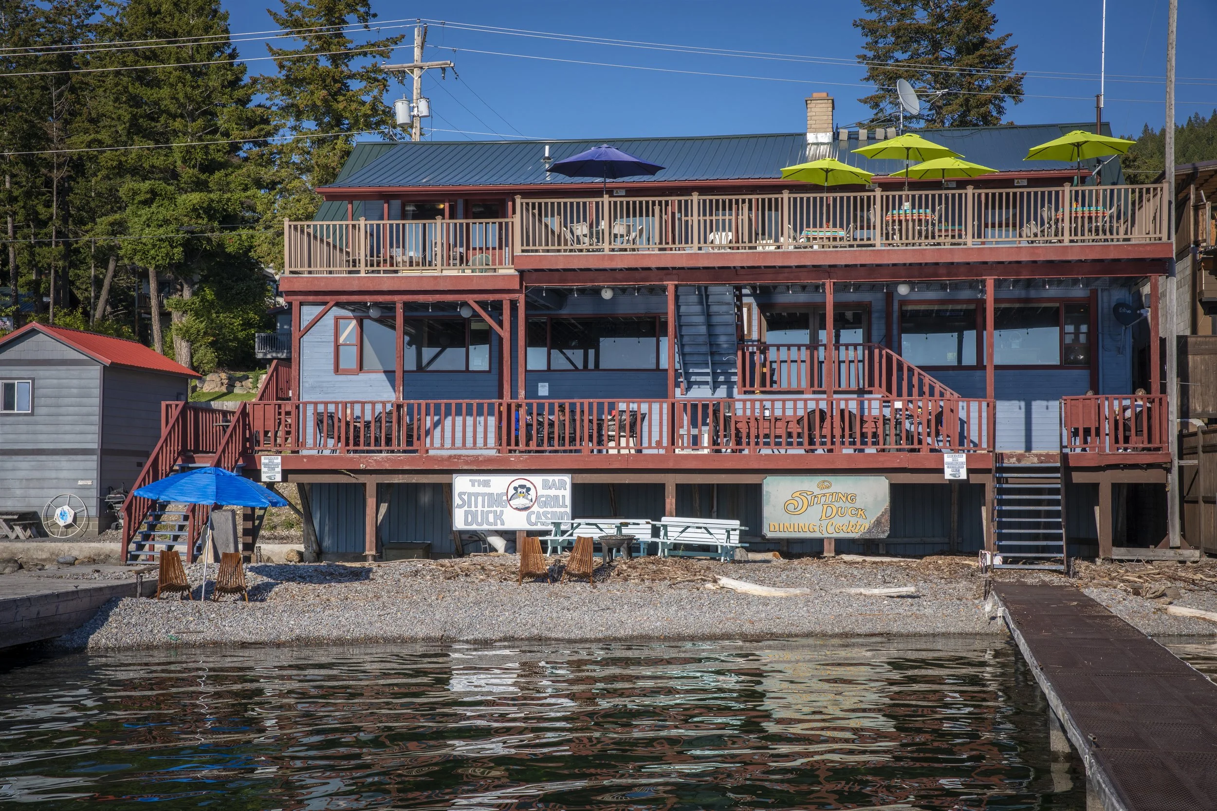 Gallery 3 — The Sitting Duck