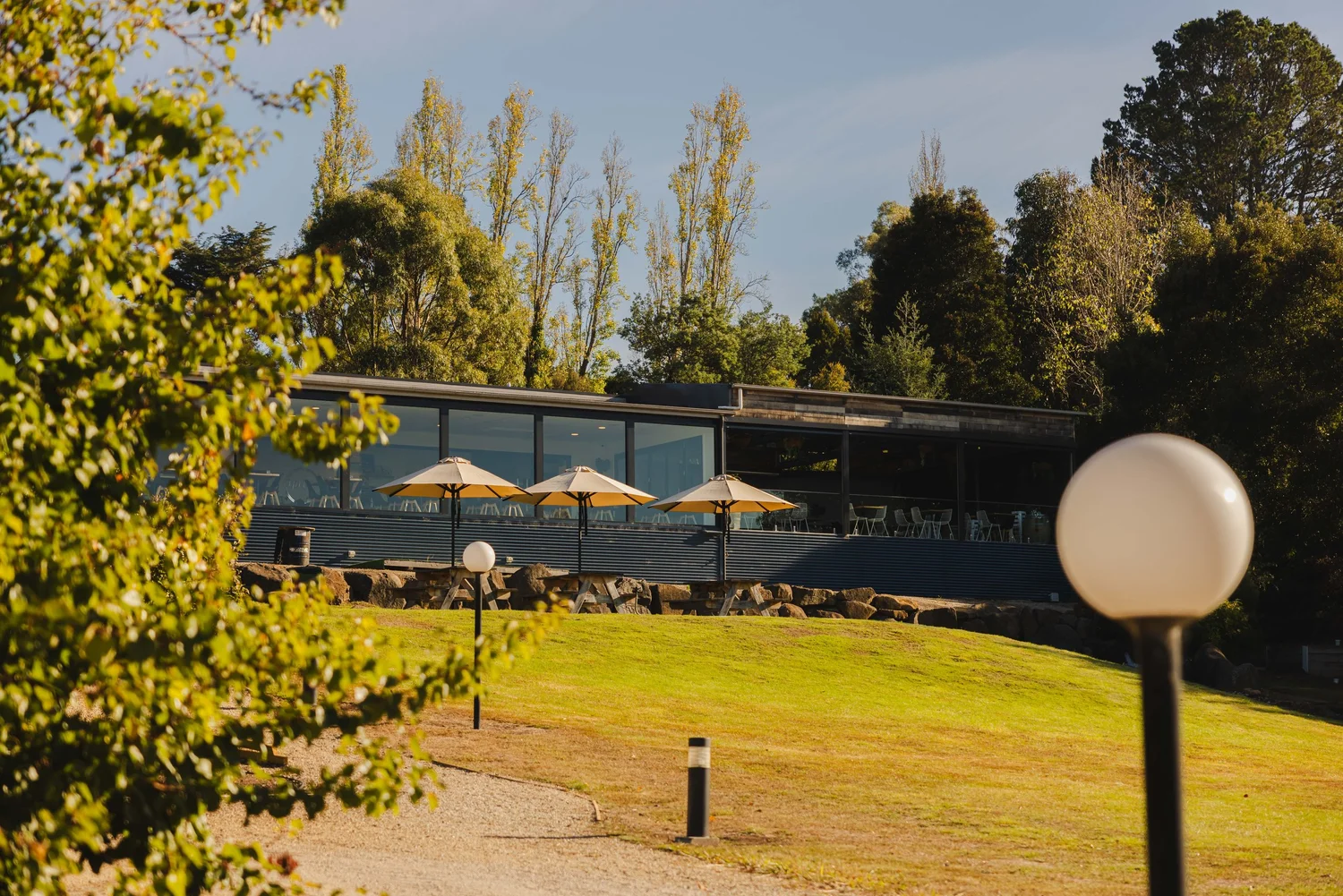 apricus | Restaurants in Launceston