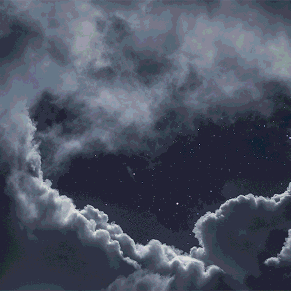 Dream Photo Composition — BronzWyng Design