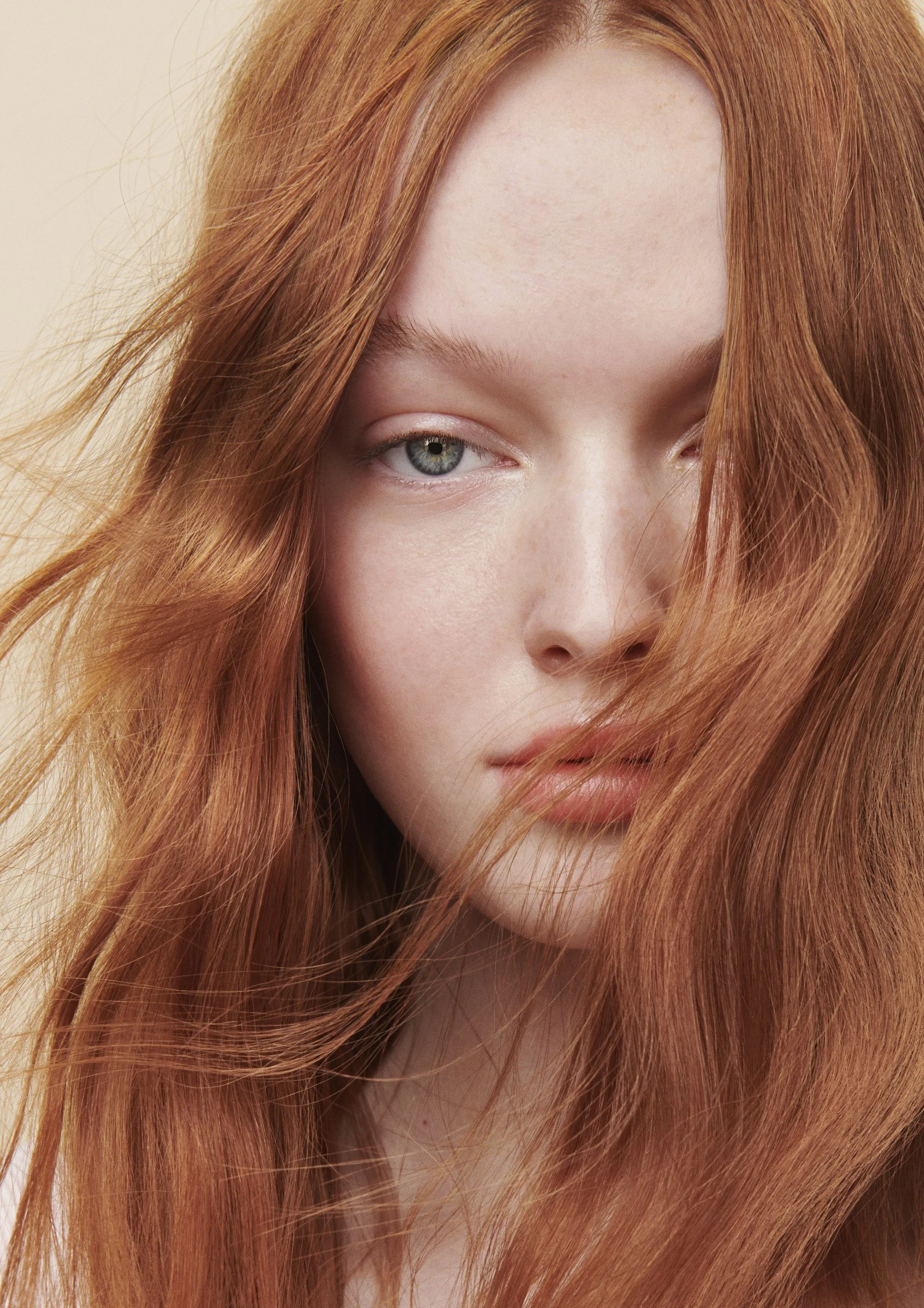 Colour — ELEVEN Australia