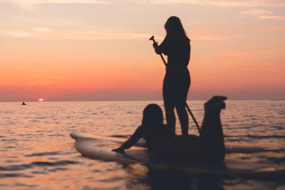 Water & Land Activities on Gotland | Surf, Paddleboard, Skateboard, and ...