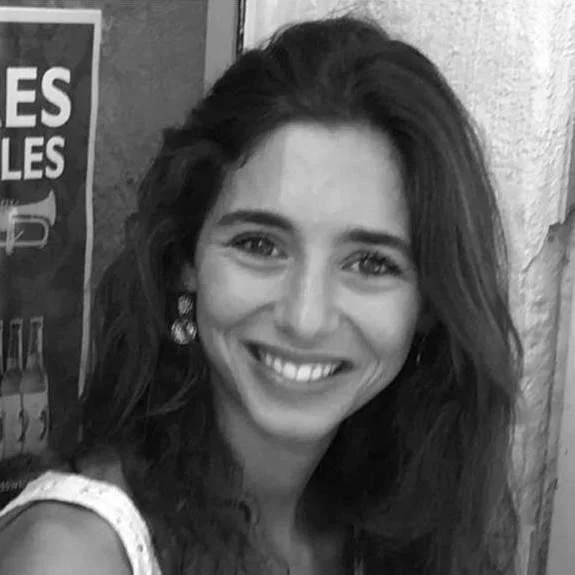 Les Professeurs — SYNOPSIS