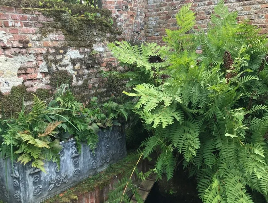 About Tessa Tricks Design — TESSA TRICKS DESIGN