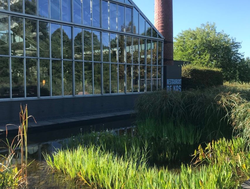 About Tessa Tricks Design — TESSA TRICKS DESIGN