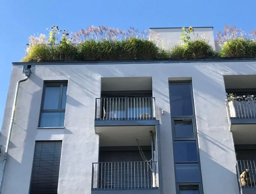 About Tessa Tricks Design — TESSA TRICKS DESIGN