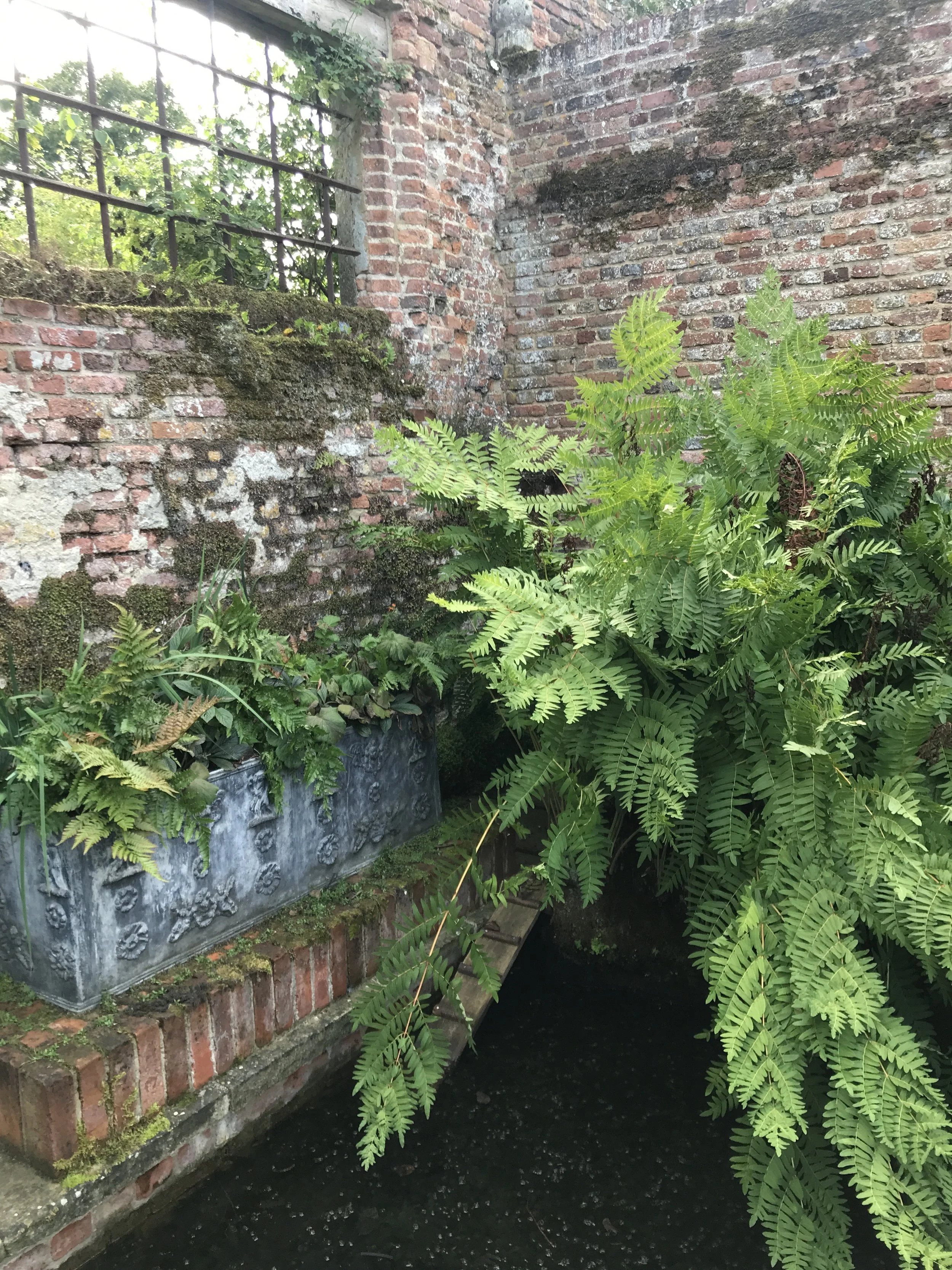 Tessa Tricks Design: About — TESSA TRICKS DESIGN