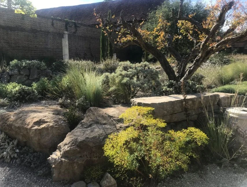 About Tessa Tricks Design — TESSA TRICKS DESIGN