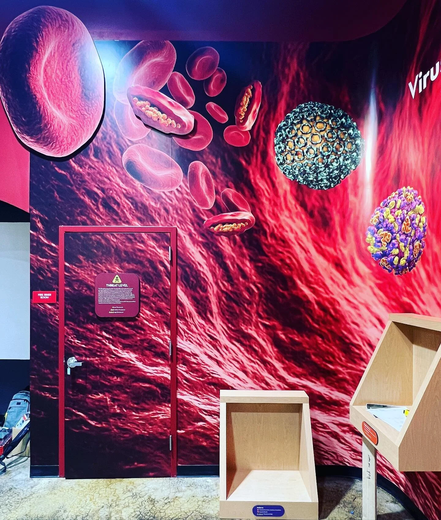 Custom Graphic Installation | Mythos Creative | Seamless Wallpaper Installation