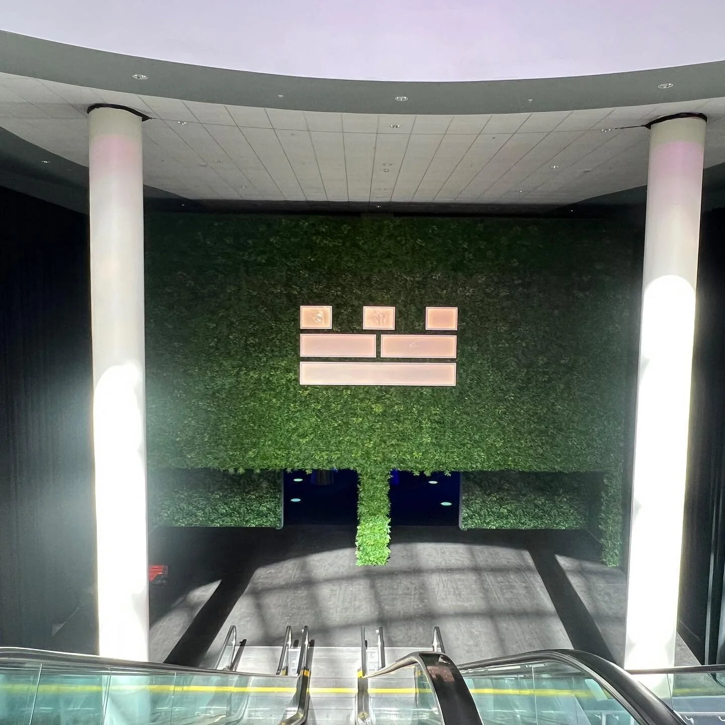 Custom Graphic Installation | Mythos Creative | Seamless Wallpaper Installation