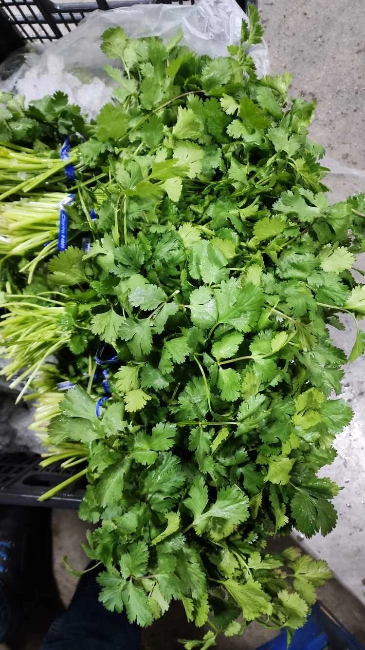 Kisaan International