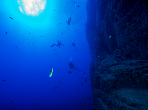 Guided Dives — Nautilus Adventures