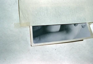 Freud’s Three Wishes — Parapraxis