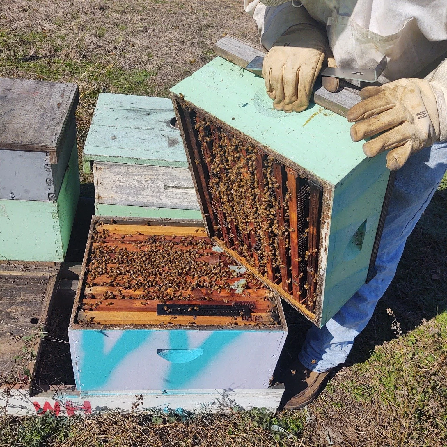 Products — WG Bee Farm