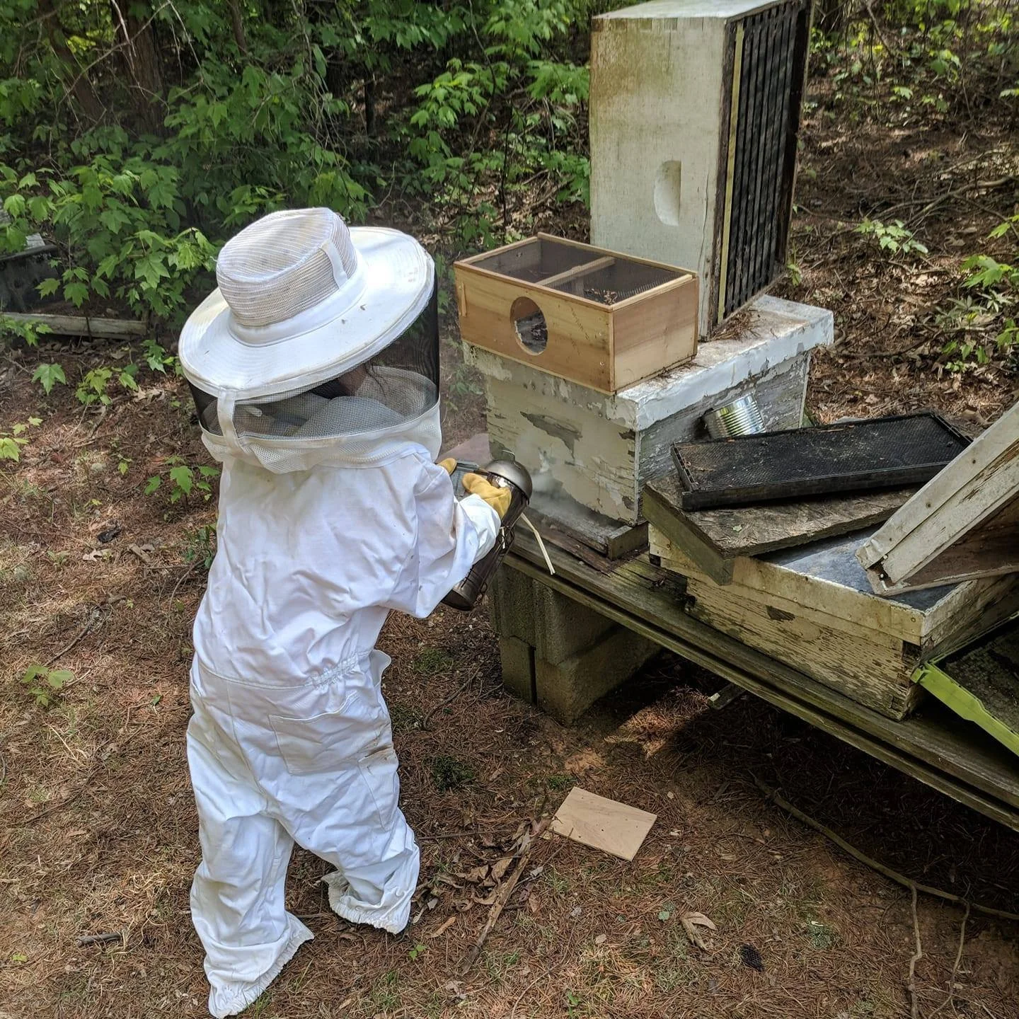 About — WG Bee Farm