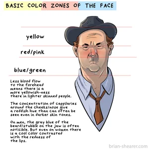 How to Draw: Color Zones of the Face — Brian Shearer