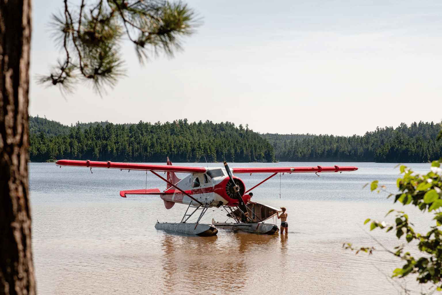 Move Over Algonquin, Temagami Is the Best Place for Canoeing in Ontario ...