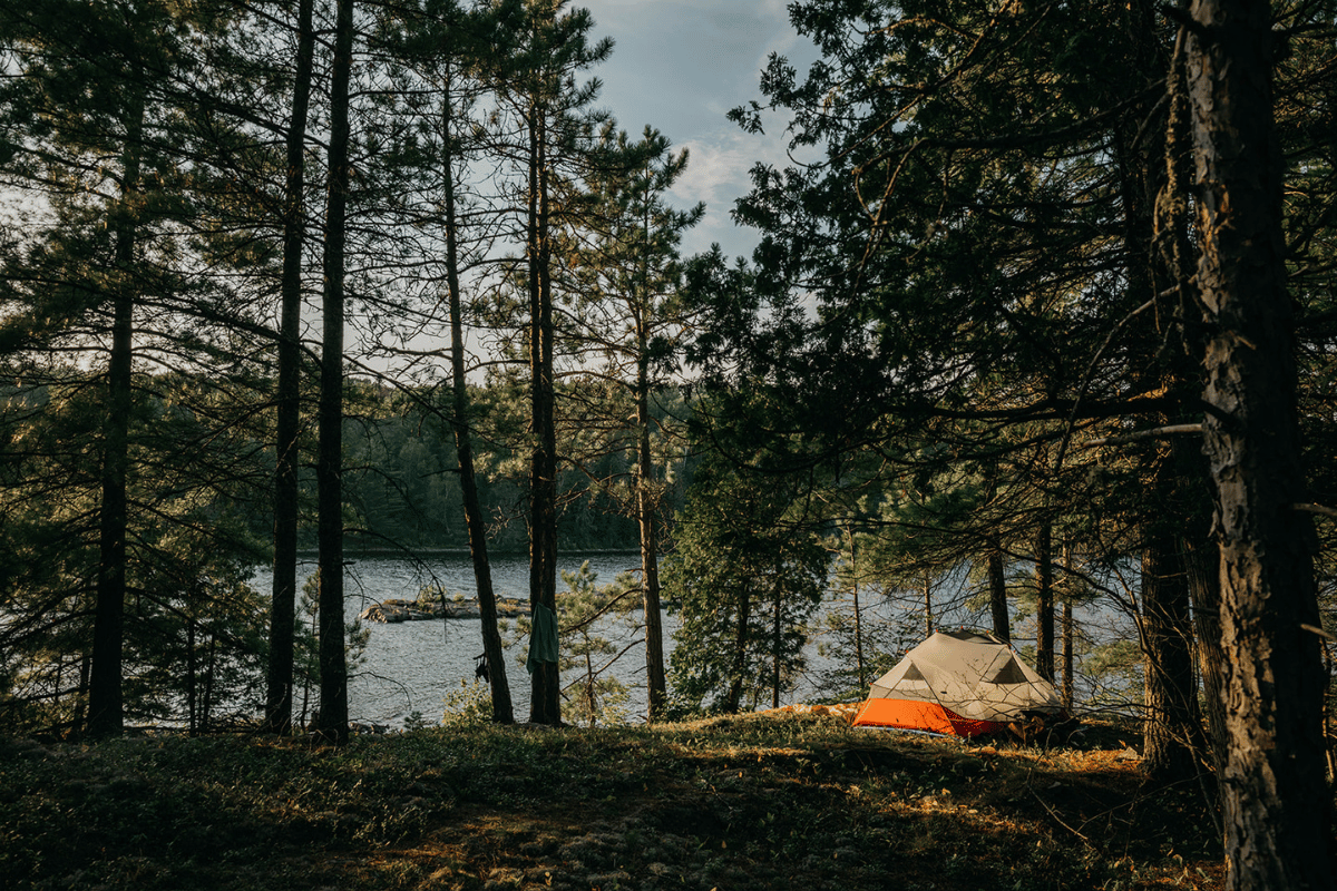 Move Over Algonquin, Temagami Is the Best Place for Canoeing in Ontario ...
