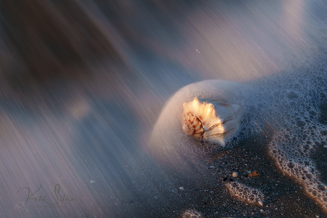 Workshops — Kate Silvia Photography