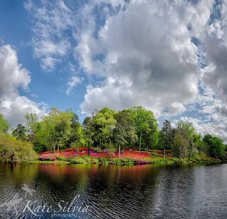 Workshops and Photo Outings — Kate Silvia Photography