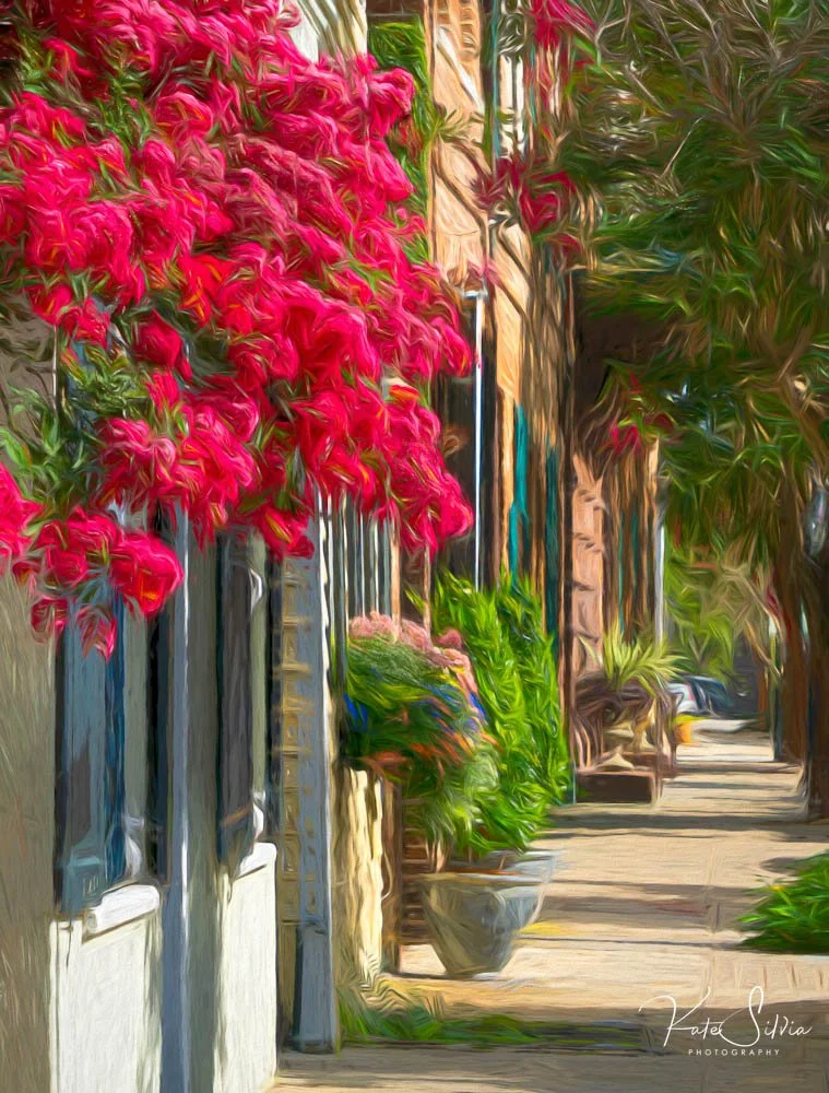 Photo Art — Kate Silvia Photography