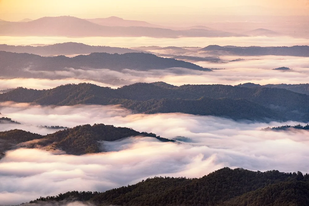 Southern Appalachians — Kate Silvia Photography