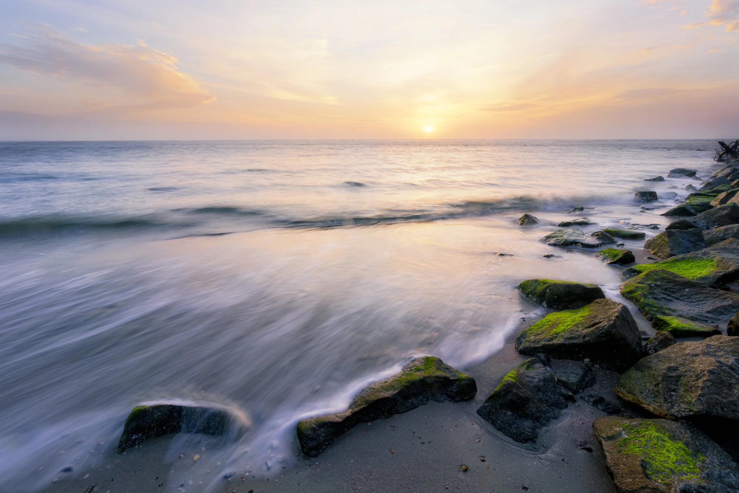 Charlestons Best Photo Locations — Kate Silvia Photography